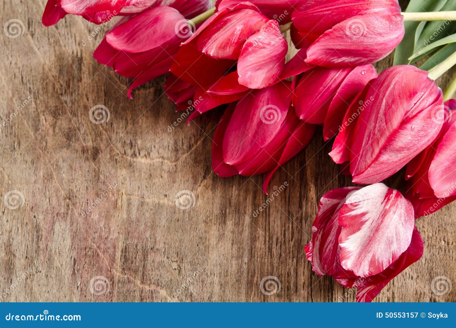 Corner for Photo from Fresh Tulips Stock Image - Image of engagement ...