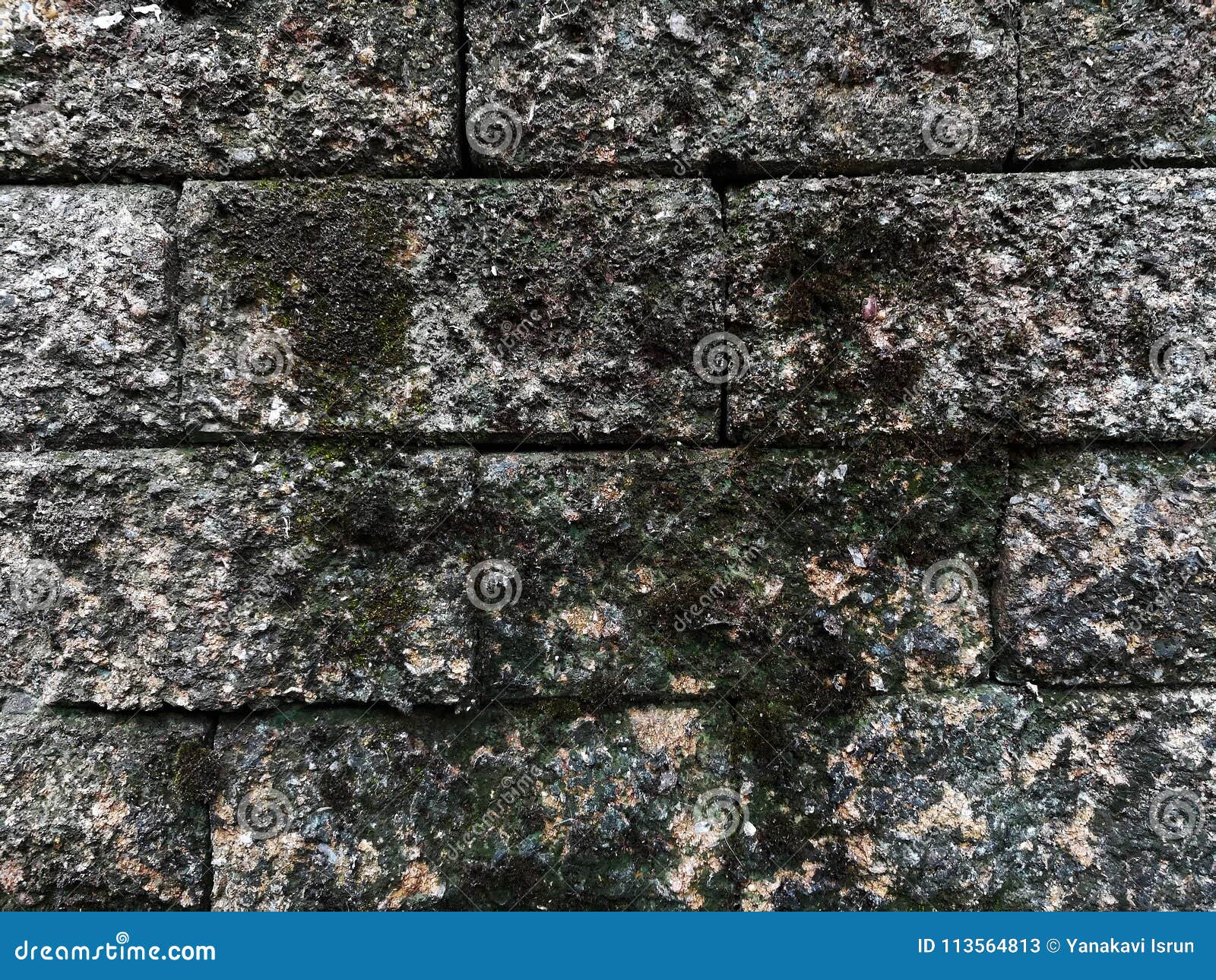 In Front of Rock Wall stock image. Image of vertical - 113564813