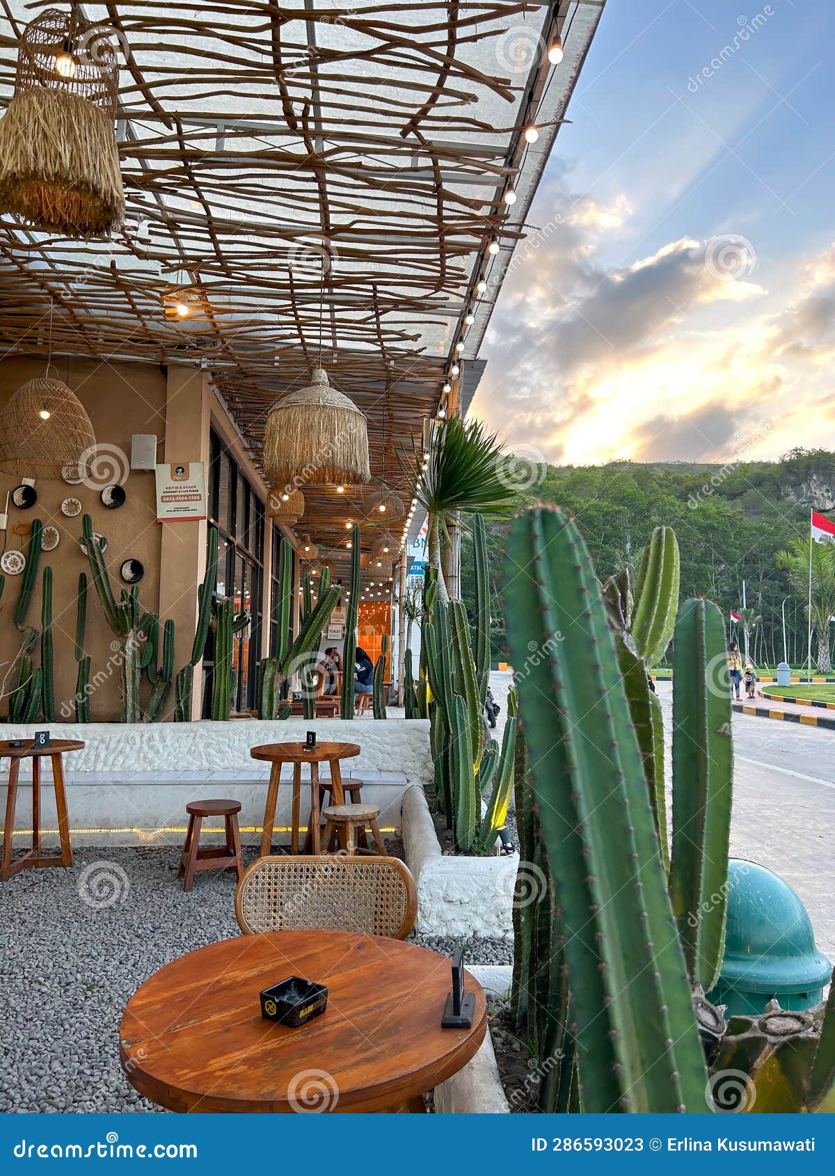 Corner of the Room Decorated with Dry Plants and Cactus in a Cafe ...