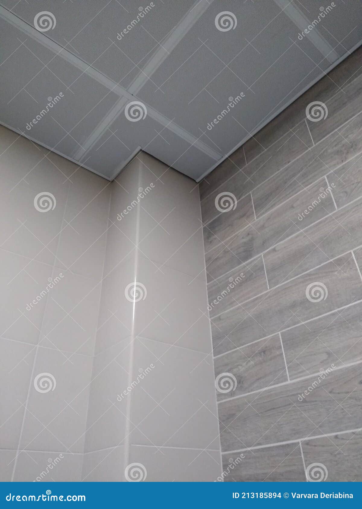 Corner of the Room Inside the Room: Two Walls and a Ceiling Stock Photo ...