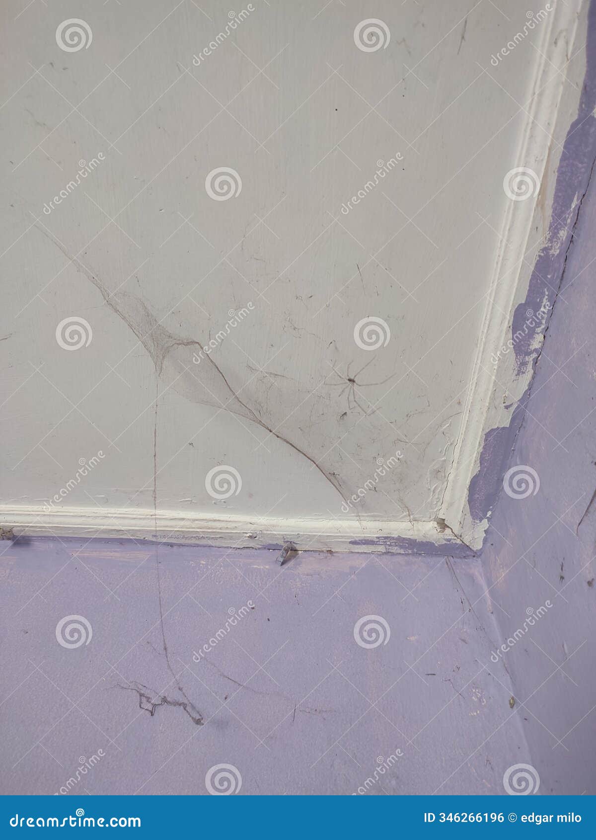 The Corner of the Room that is Never Cleaned is Full of Cobwebs Stock ...