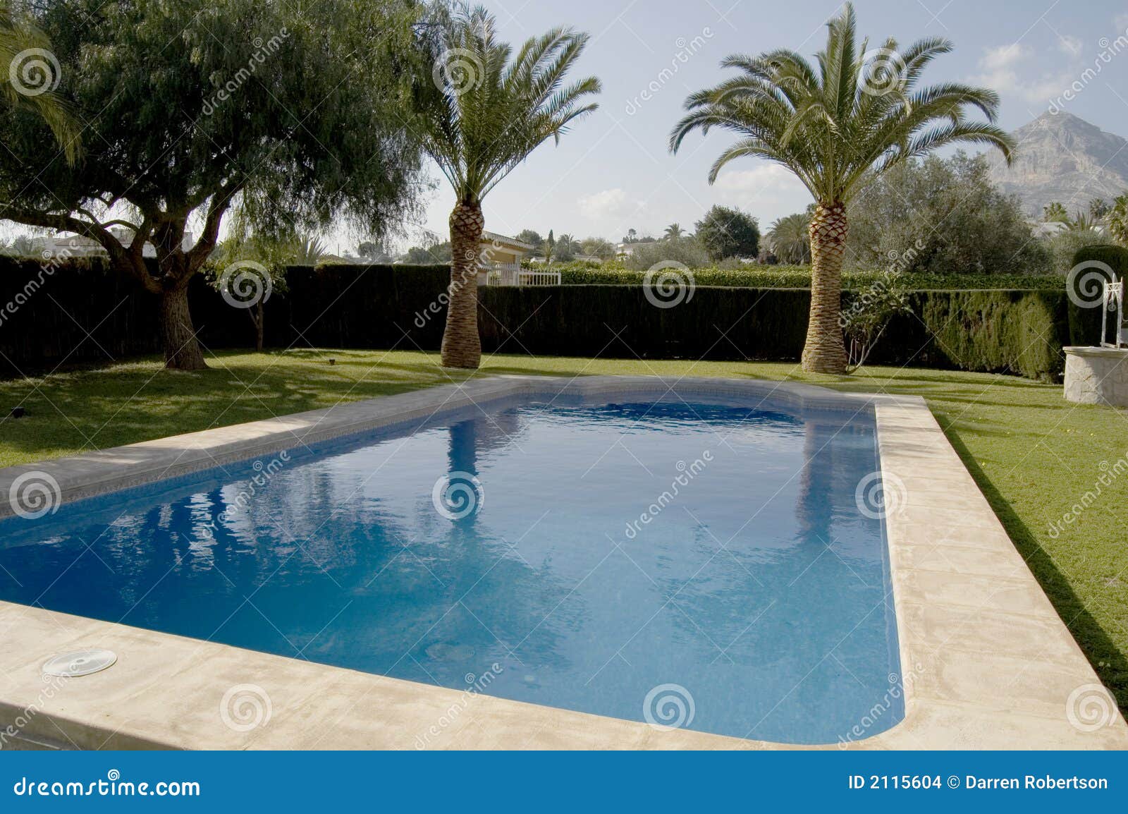 Corner Shot of a Swimming Pool Stock Photo - Image of swimming, privacy ...