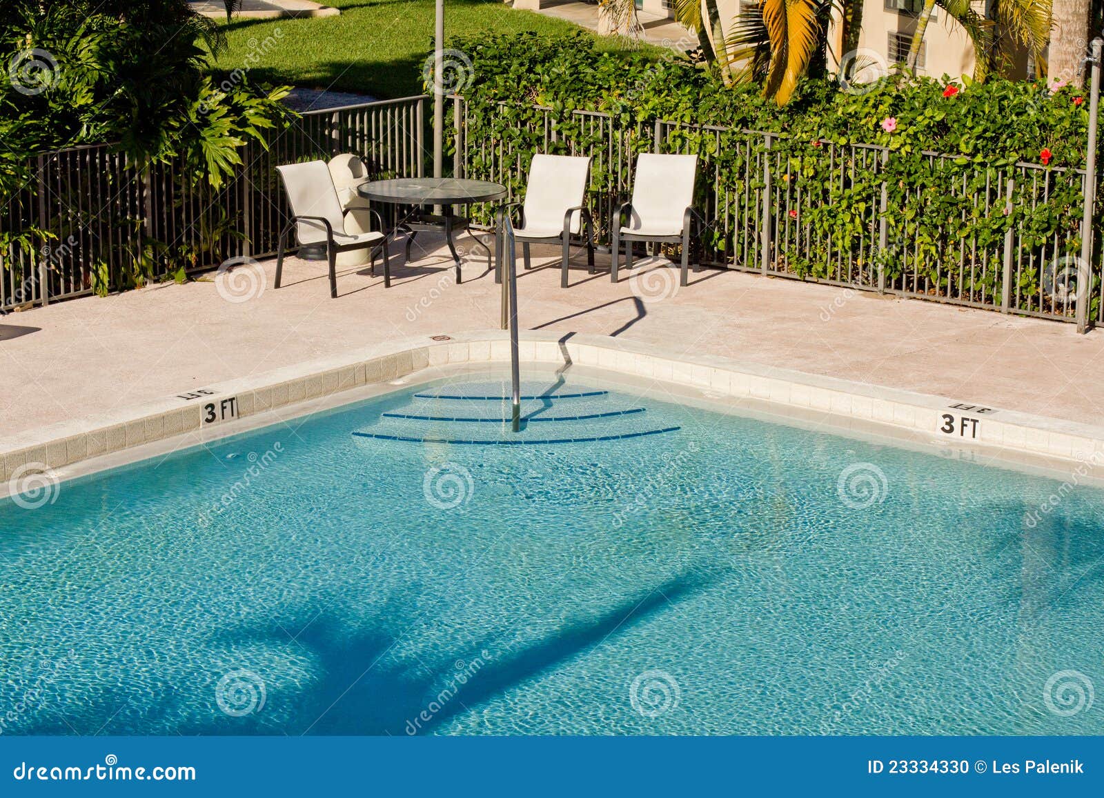 Corner of a swimming pool stock photo. Image of grass - 23334330