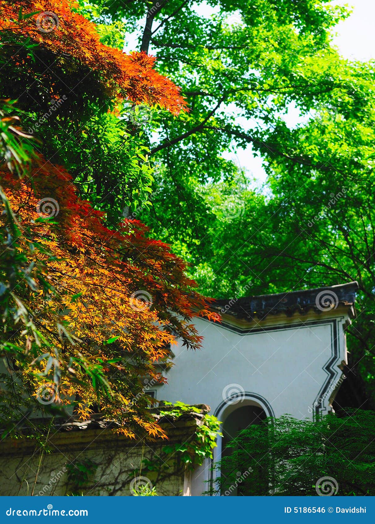 A Corner of Temple stock photo. Image of fantastic, peaceful - 5186546