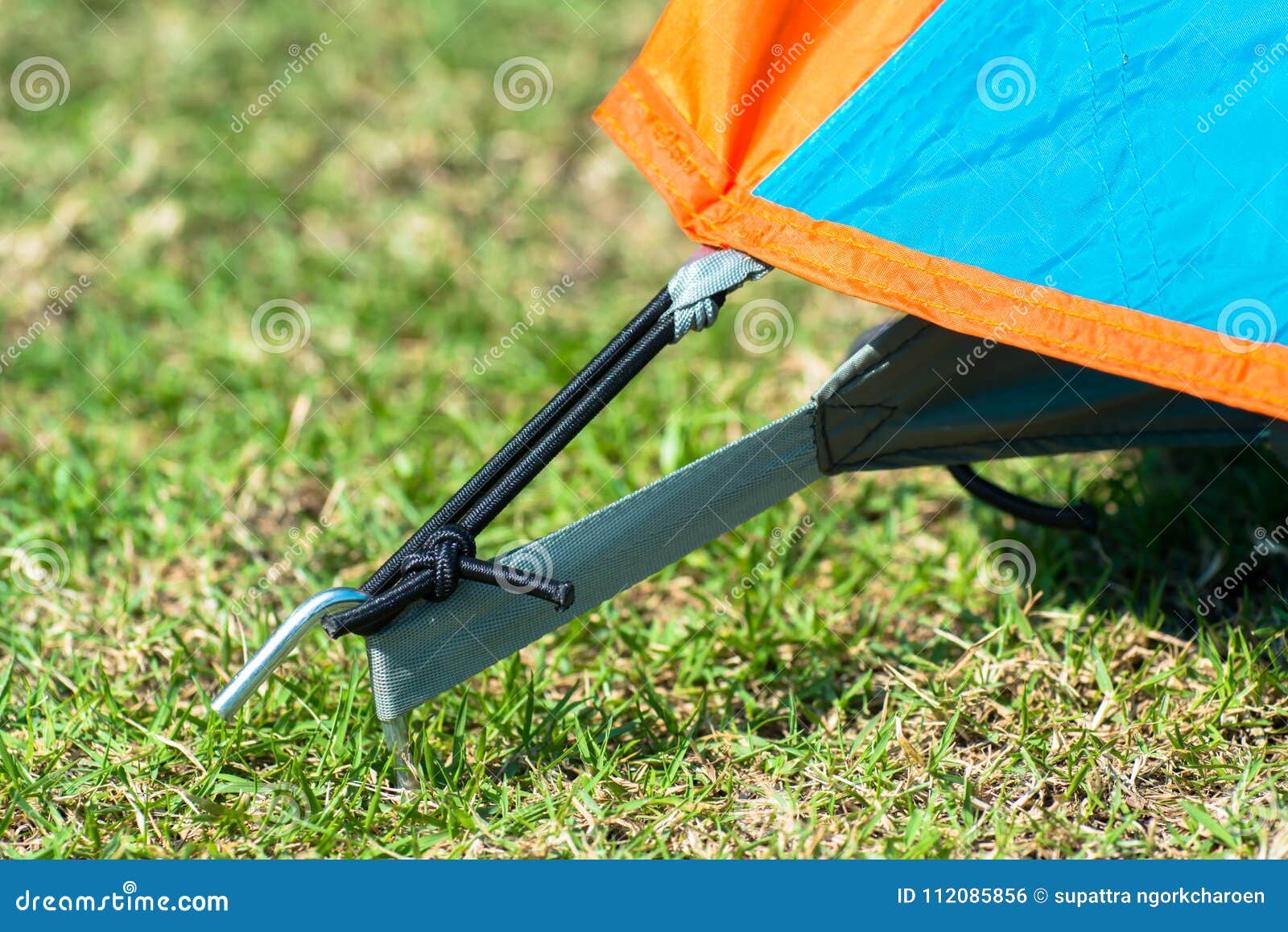 The Corner Tent Central Lawn. Stock Photo - Image of grass, culture ...