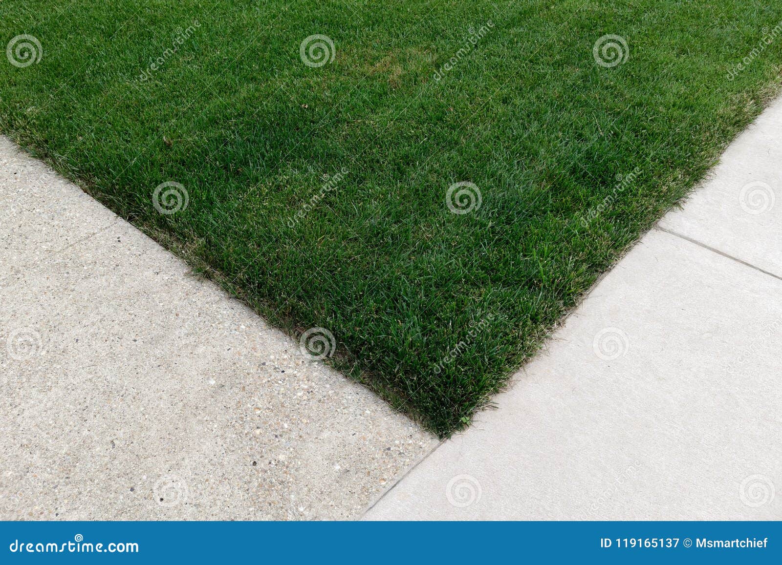 Sodded Lawn and Sidewalk stock image. Image of ground - 119165137
