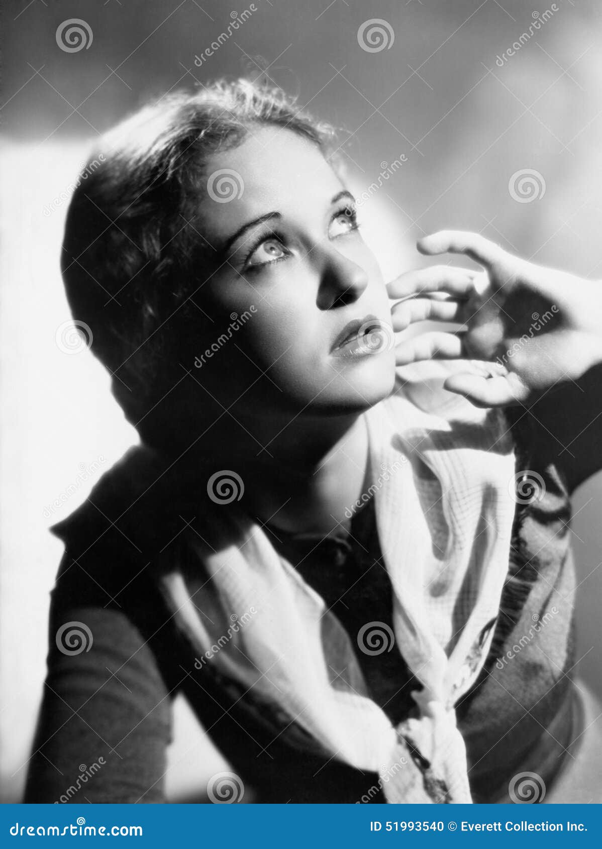 CORNERED stock photo. Image of disturbing, concerns, cowered - 51993540