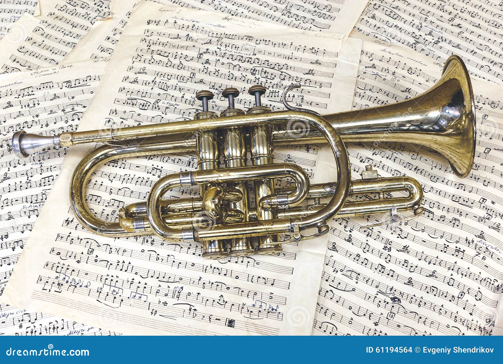 Cornet stock photo. Image of concert, sound, brass, musical - 61194564