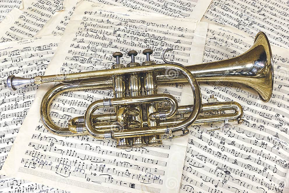 Cornet stock photo. Image of concert, sound, brass, musical - 61194564