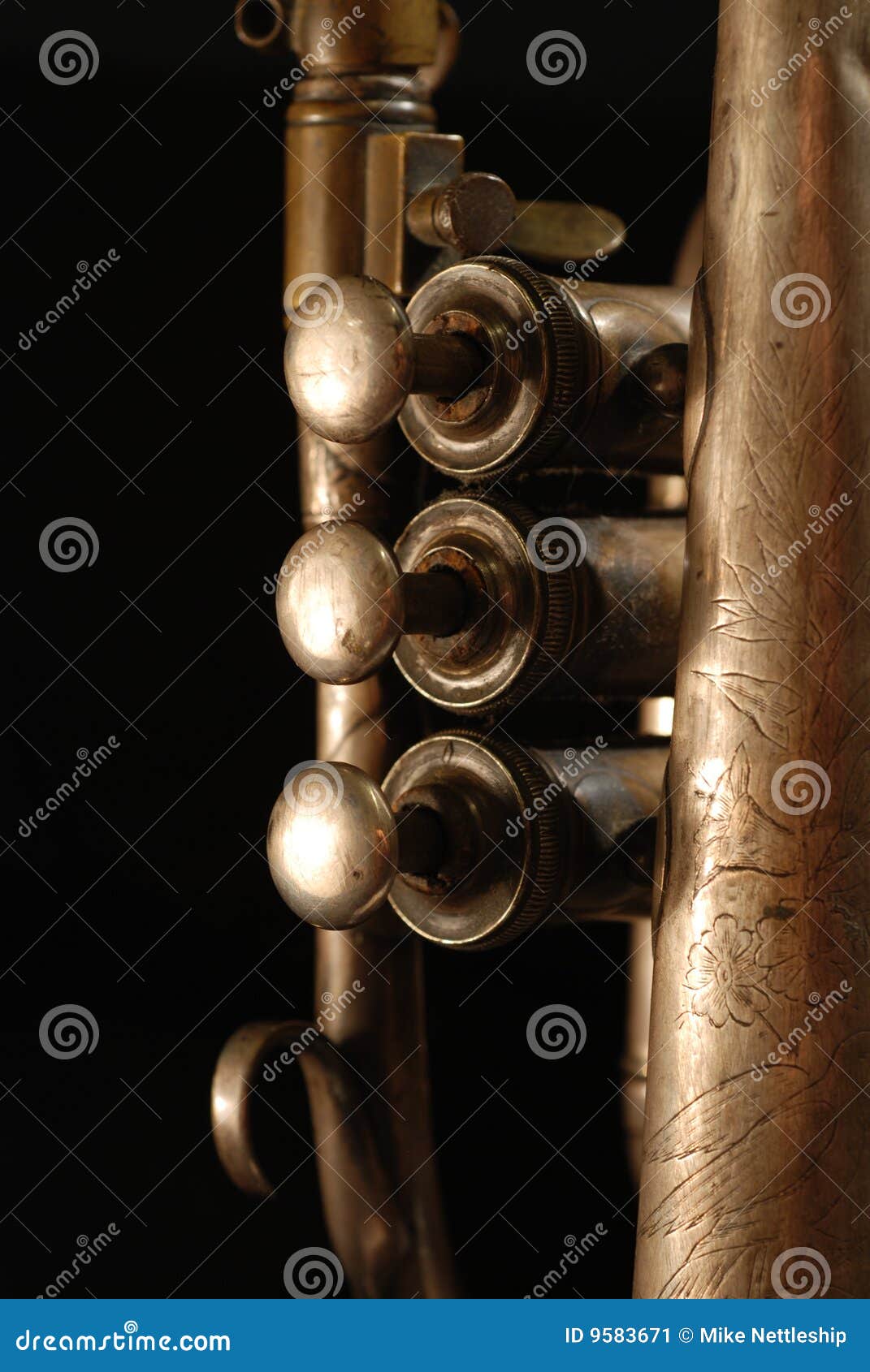 Cornet musical instrument. stock image. Image of instrument - 9583671