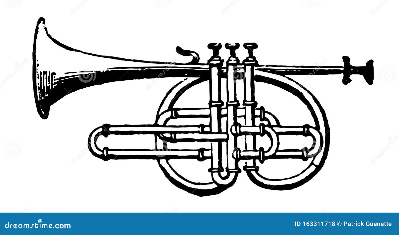 Vintage Cornet Hand Drawing Engraving Illustration,The Classical ...