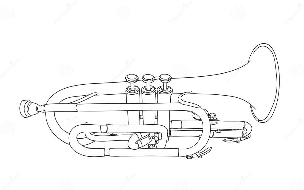 Cornet Wind Musical Instrument Stock Vector - Illustration of drawn ...