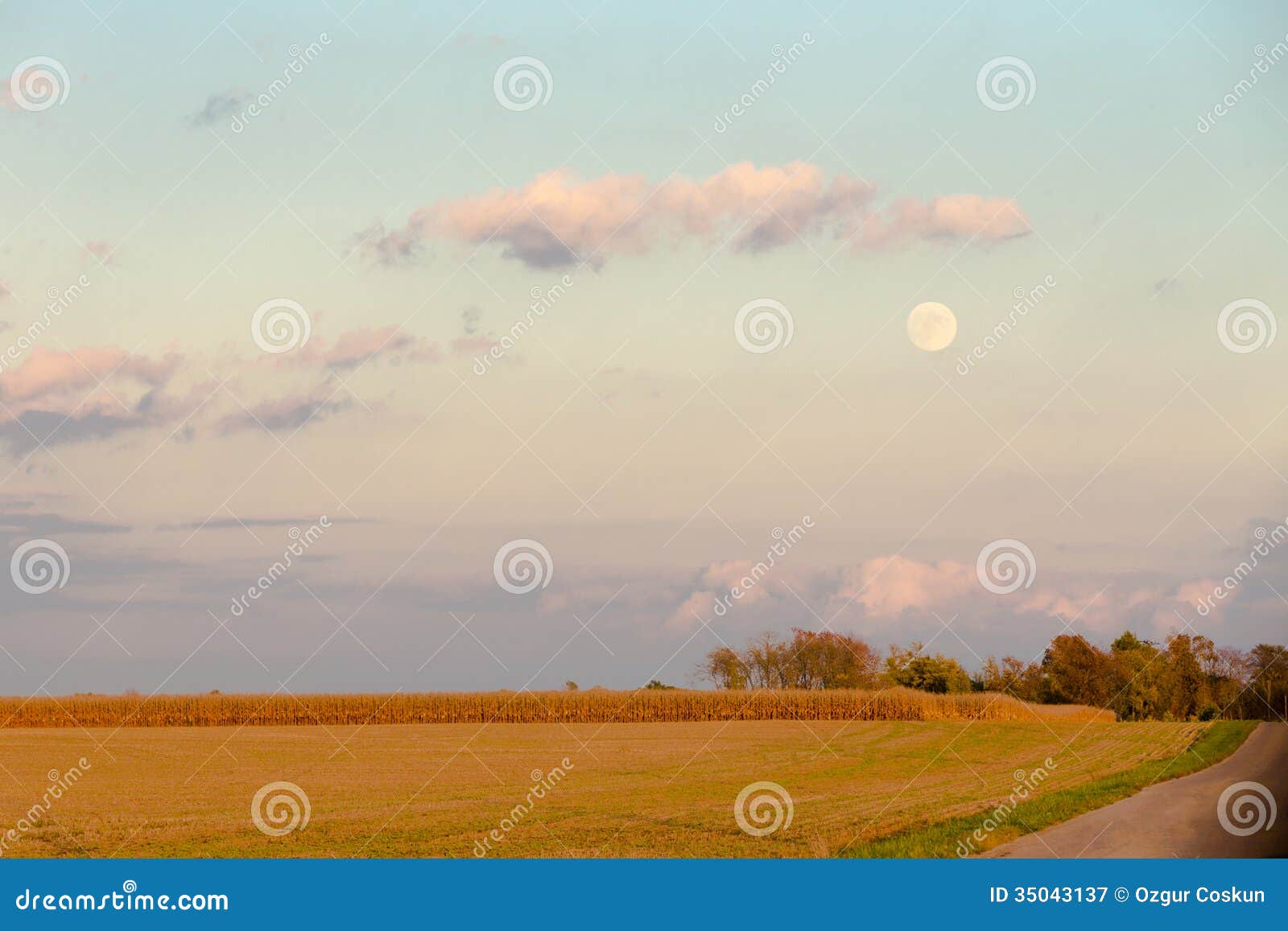 Cornfield Farm at Dusk with Full Moon Stock Image - Image of fall ...