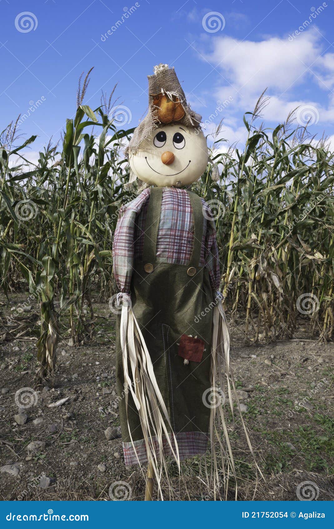 Cornfield Scarecrow stock photo. Image of face, mohonk - 21752054
