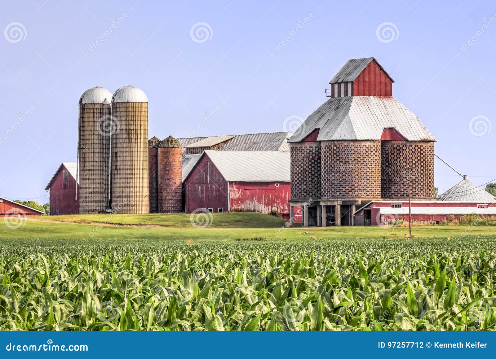 Cornfield, Silos, and Barns Stock Photo - Image of corn, agricultural ...