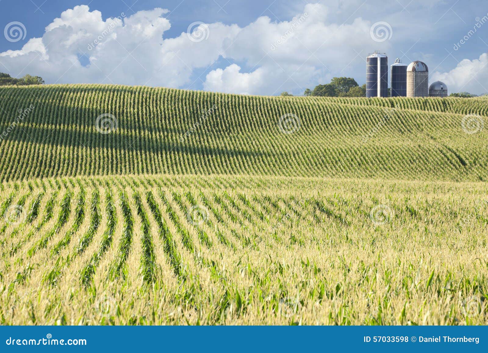 Siloes Stock Photos - Free & Royalty-Free Stock Photos from Dreamstime