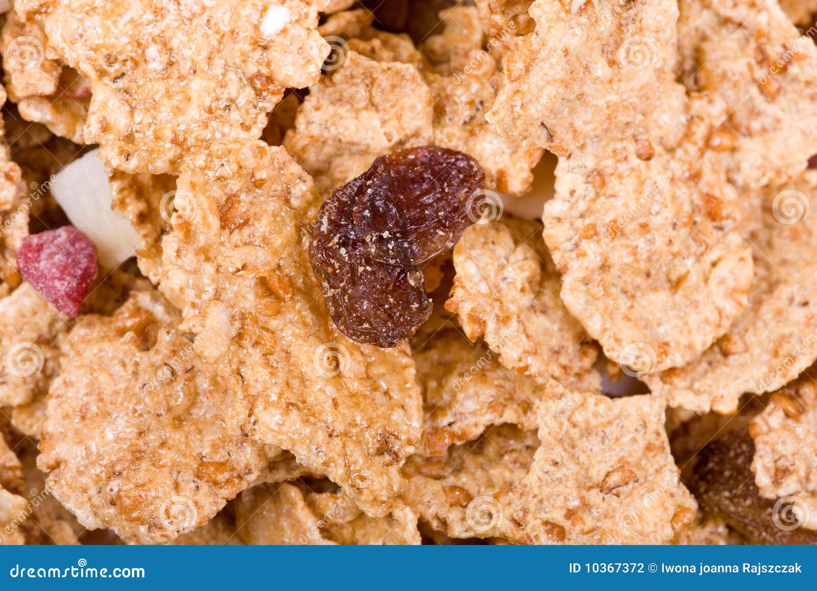 Cornflakes stock photo. Image of cookies, food, abstract - 10367372