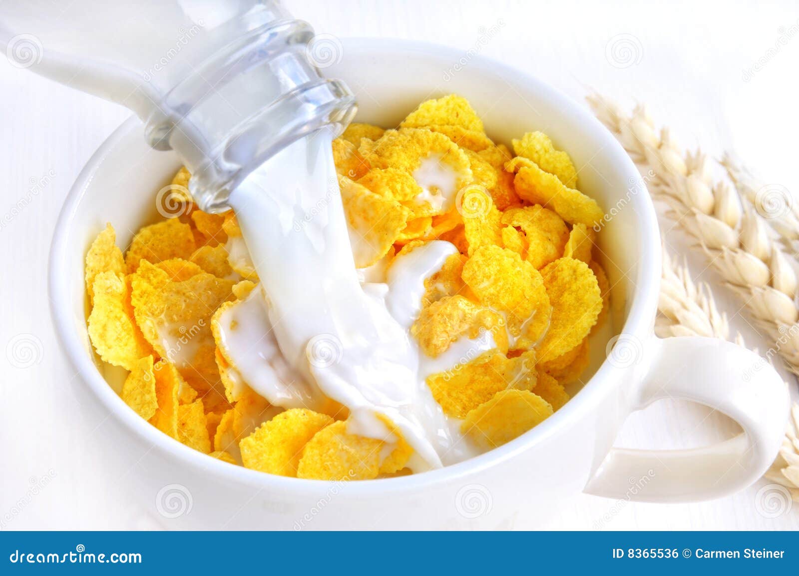 Cornflakes and milk stock photo. Image of pouring, horizontal - 8365536