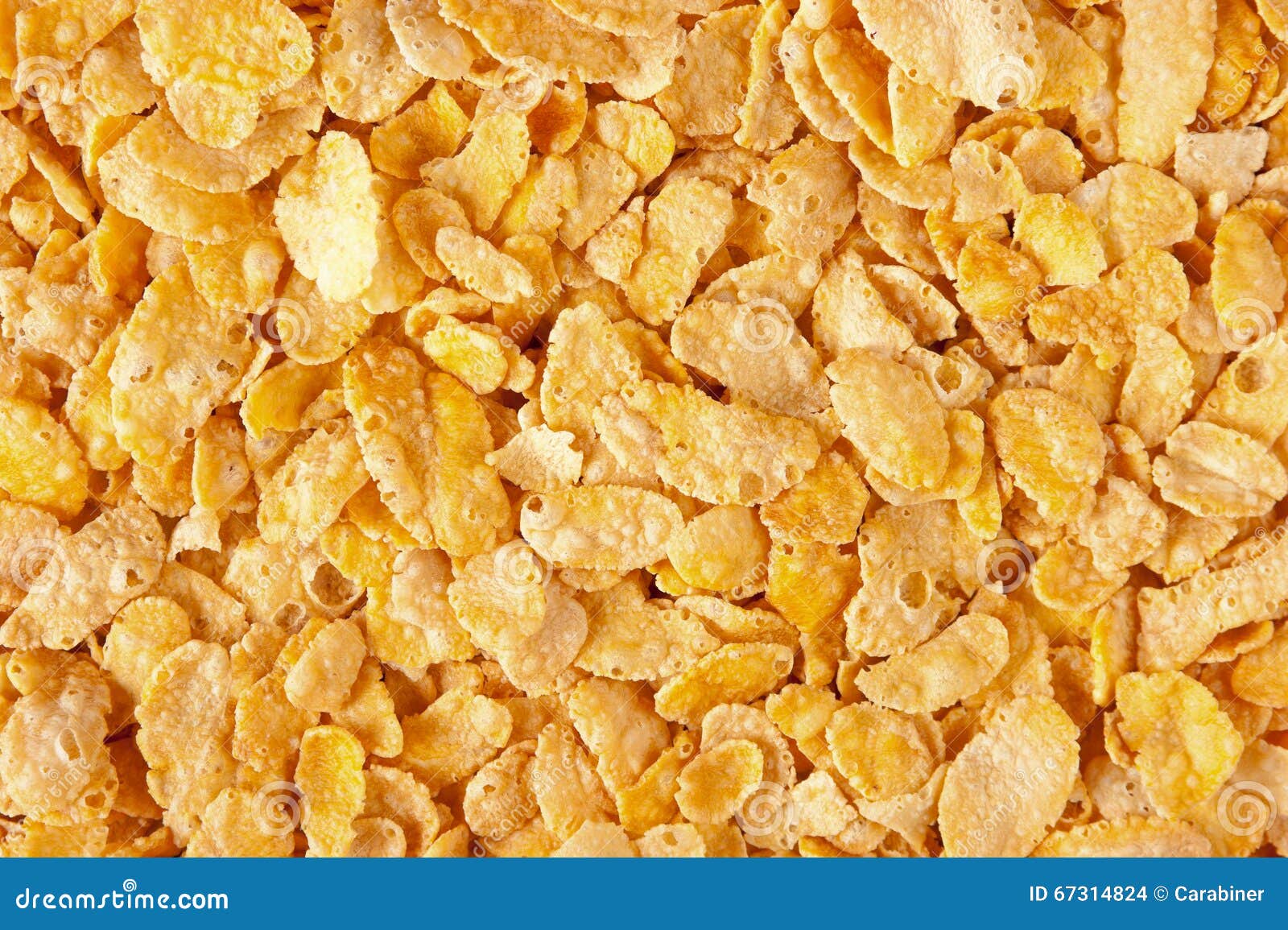 Cornflakes stock photo. Image of morning, heap, digestive - 67314824