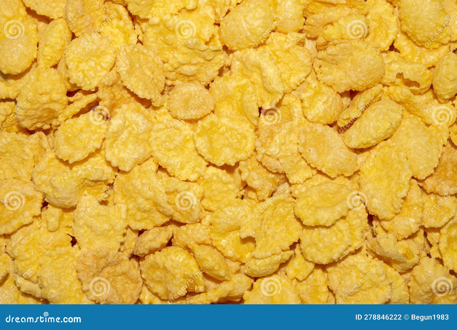 Cornflakes.Ready-made Breakfast of Cornflakes Stock Photo - Image of ...