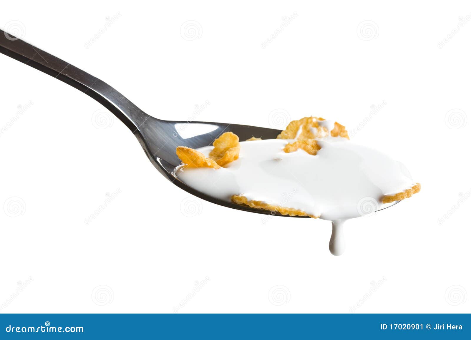 Cornflakes on the Spoon with Milk Stock Image - Image of flakes, health ...