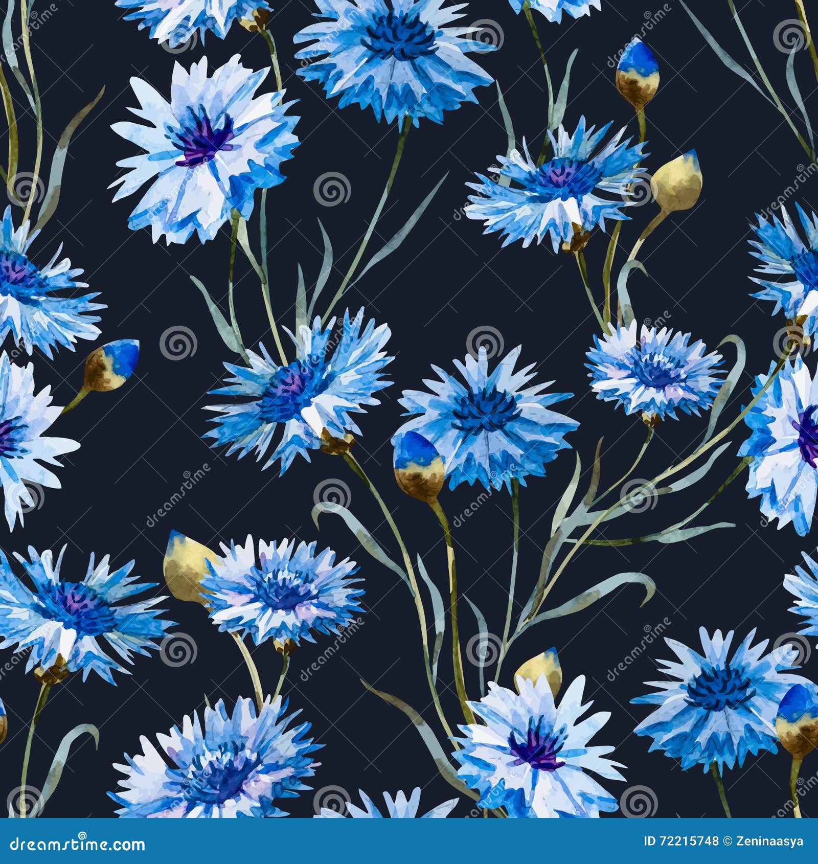 Cornflower Watercolor Pattern Stock Vector - Illustration of summer ...