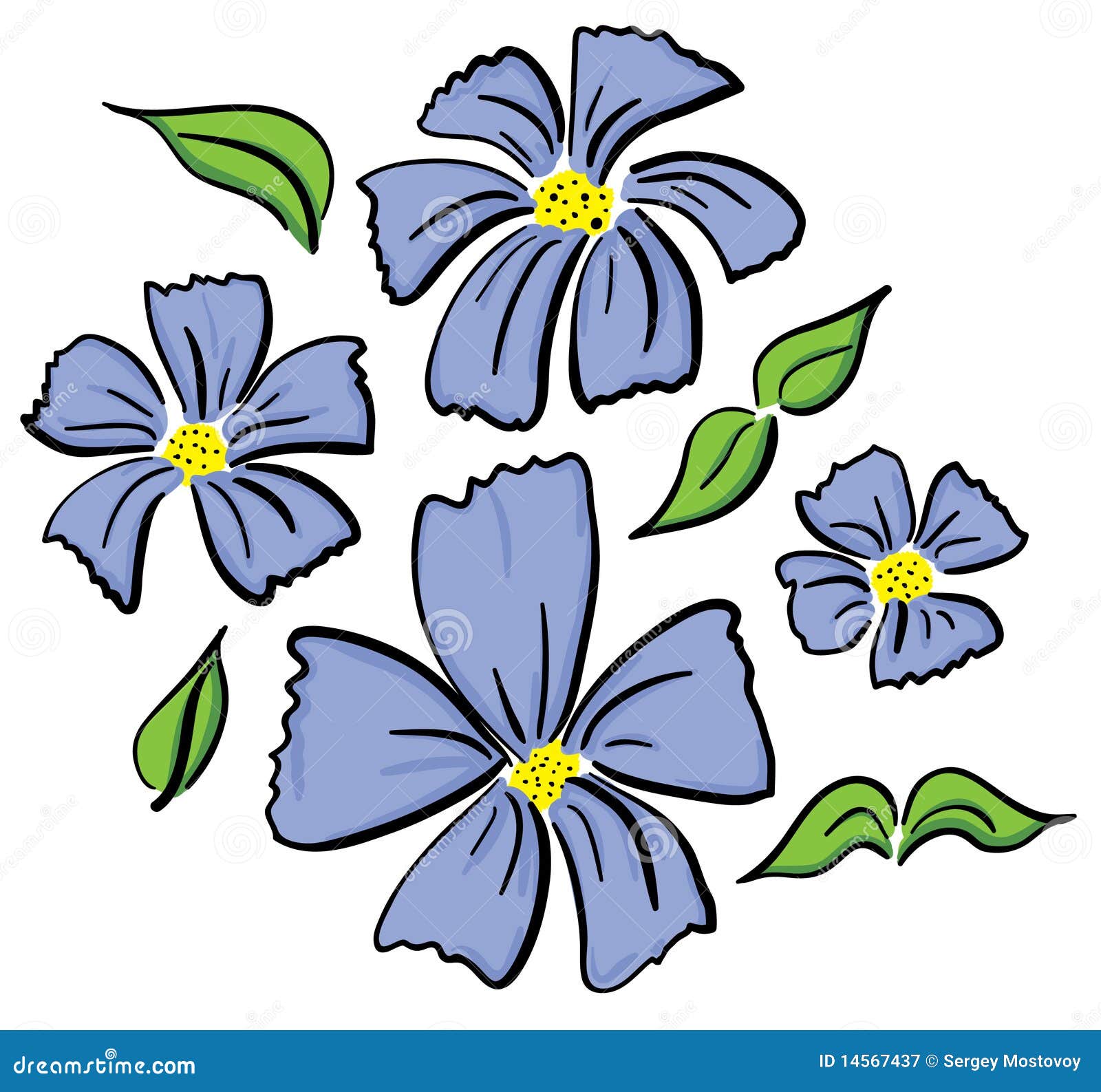 Cornflowers stock vector. Illustration of bloom, cornflower - 14567437