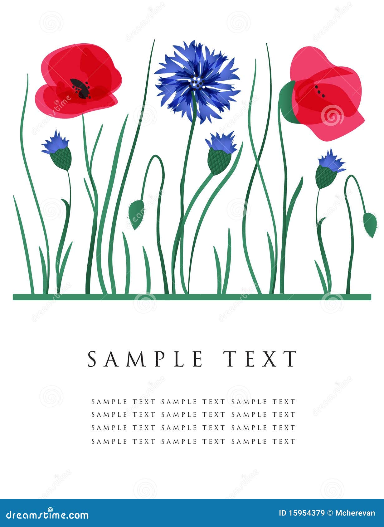 Cornflowers and Poppies. Vector Card. Stock Vector - Illustration of ...