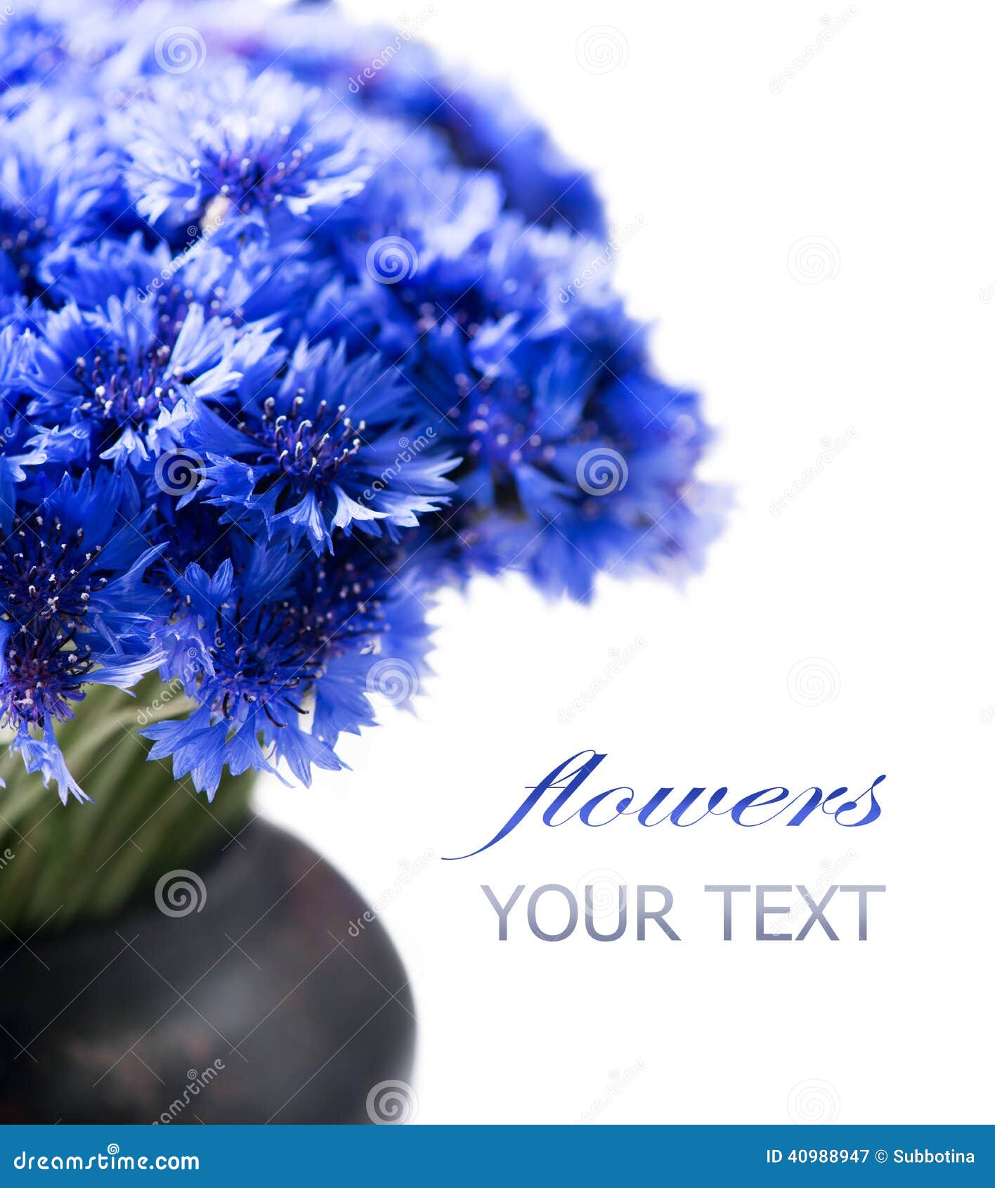 Cornflowers. Wild Blue Flowers Bunch Stock Image - Image of flower ...
