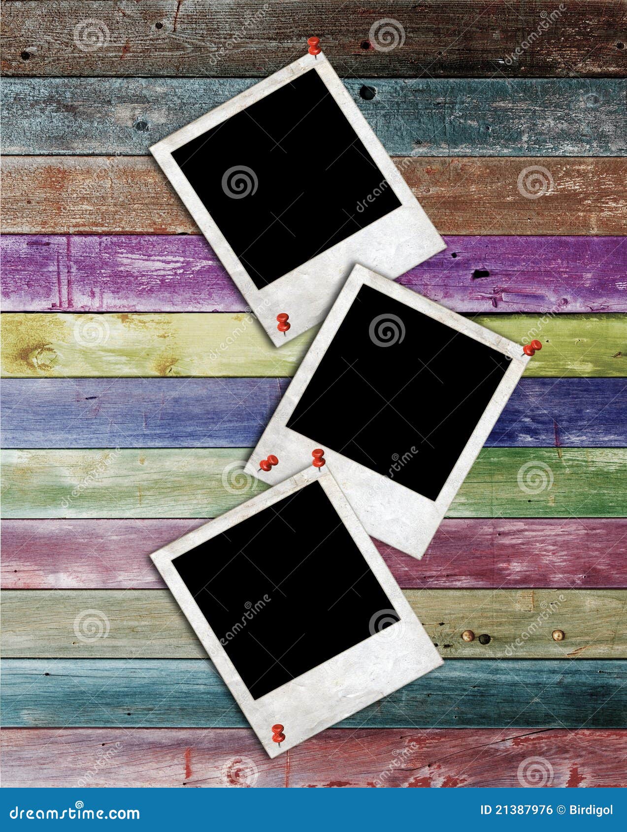 Cornice Del Libro Bianco Sulla Multi Parete Di Colore Fotografia Stock ...