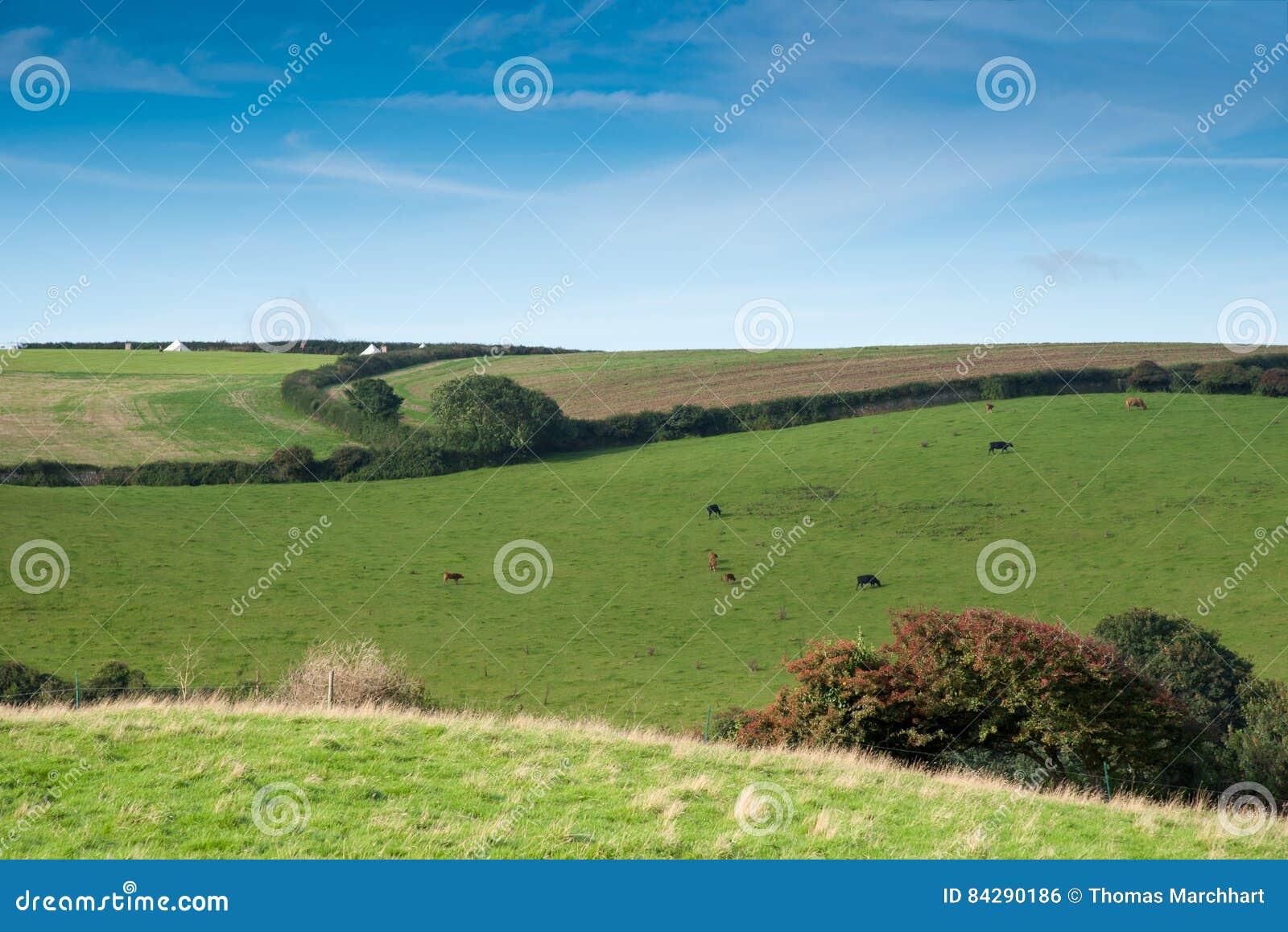 Cornish Landscape stock photo. Image of vacation, summer - 84290186