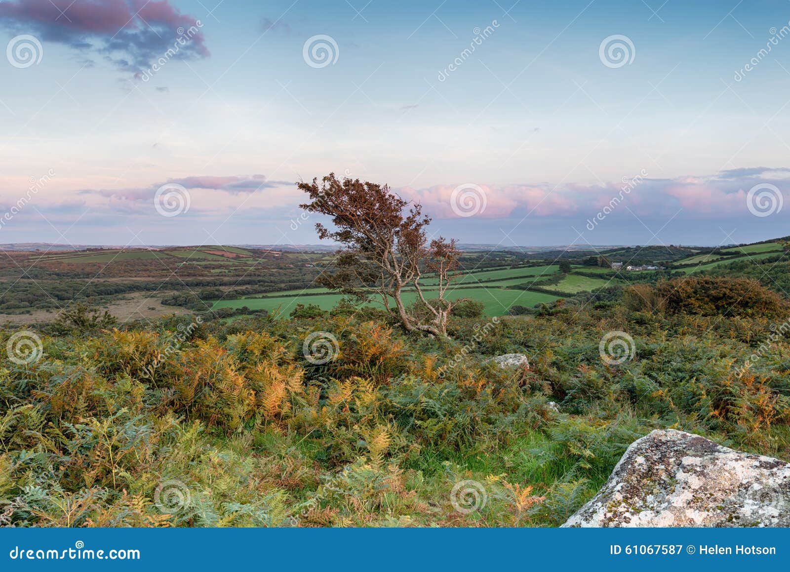 Cornish Moorland stock image. Image of country, landscape - 61067587