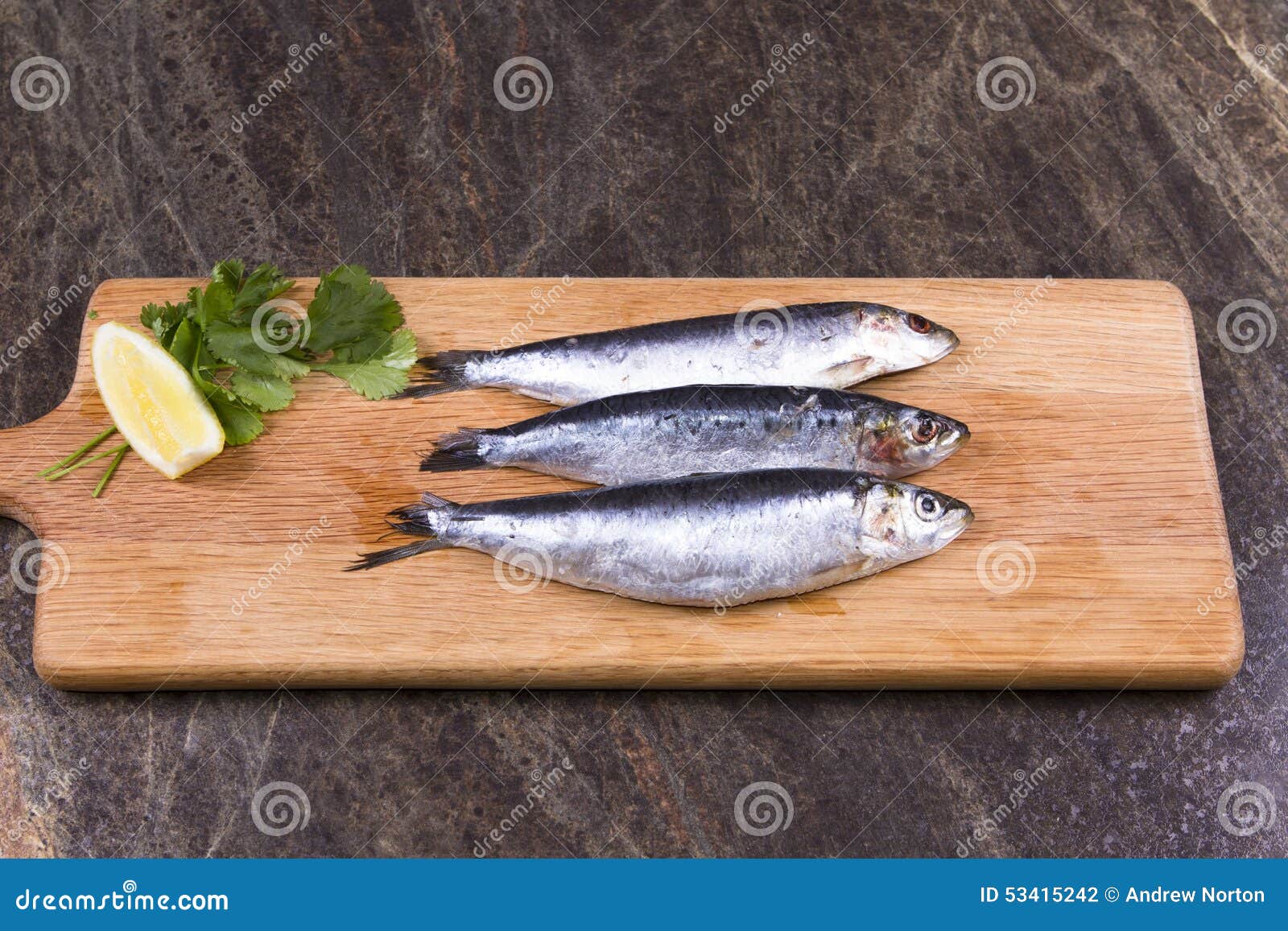 Cornish sardines stock photo. Image of board, ingredients - 53415242