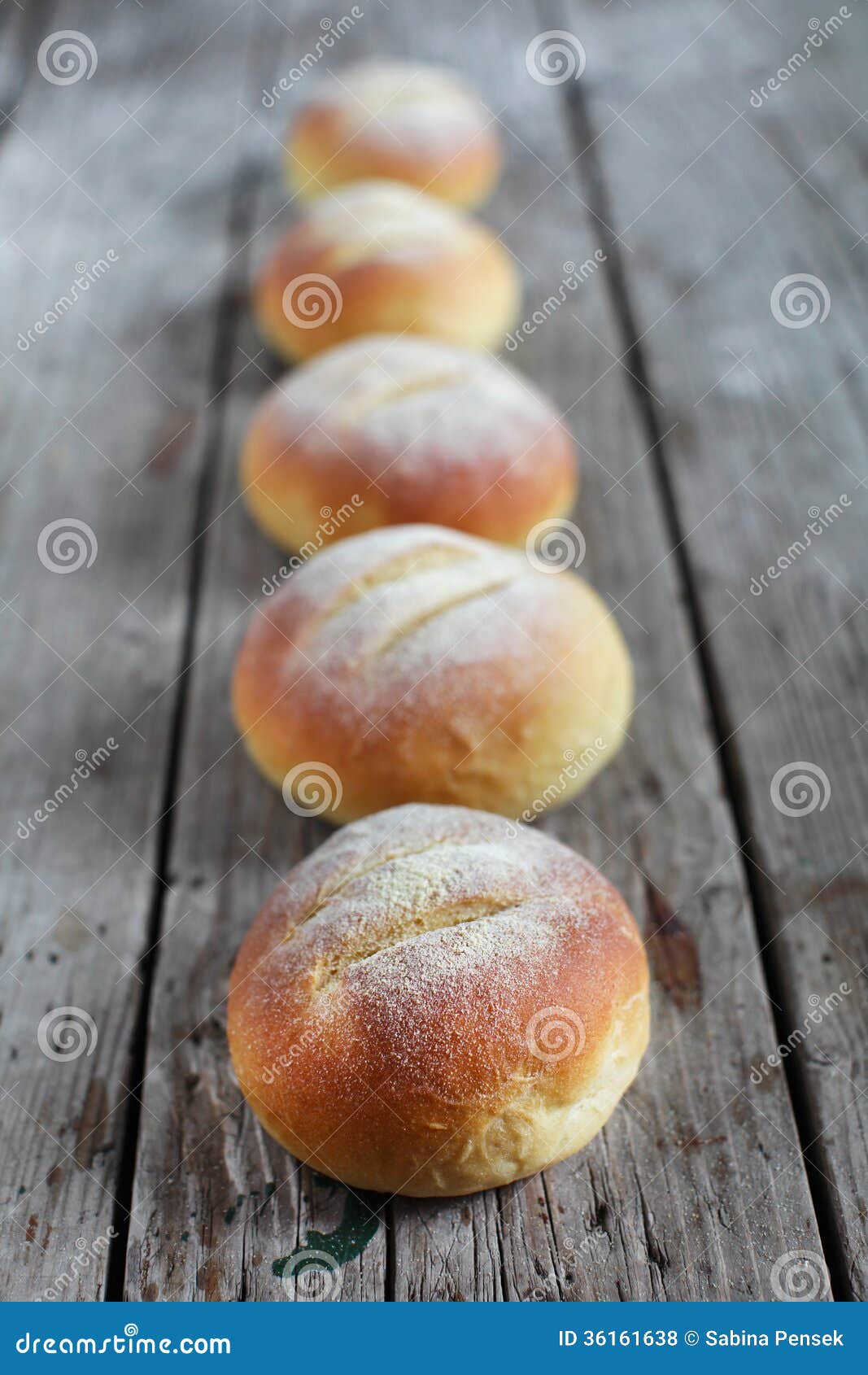 Cornmeal Bread Rolls, Briosche Round Sandwich Snack Stock Photo - Image ...