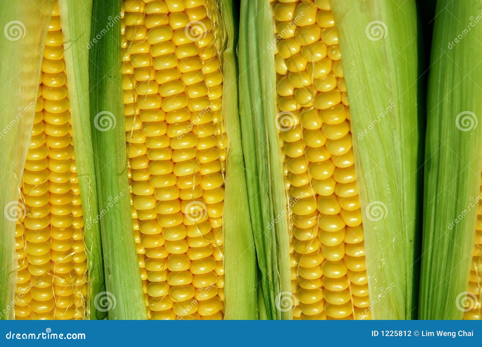Corns stock photo. Image of vibrant, health, nutrition - 1225812