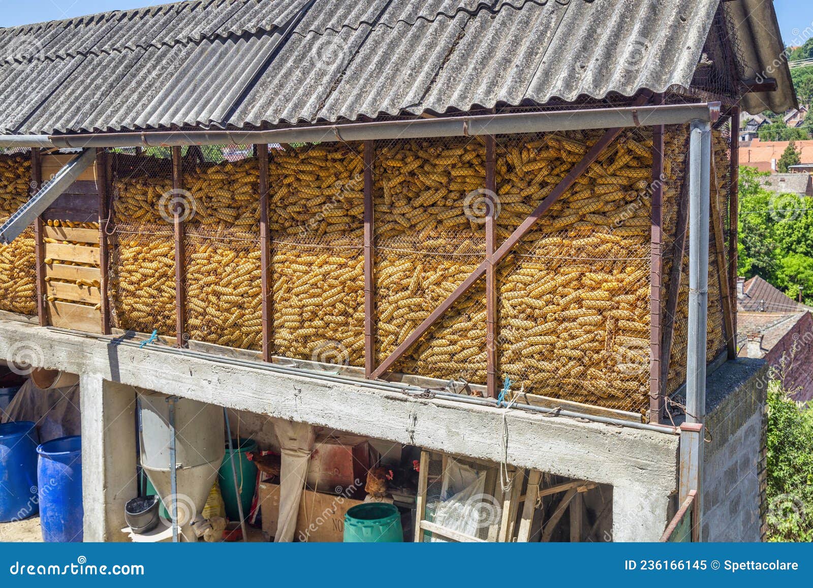 Corns in barn storage stock image. Image of outdoor - 236166145