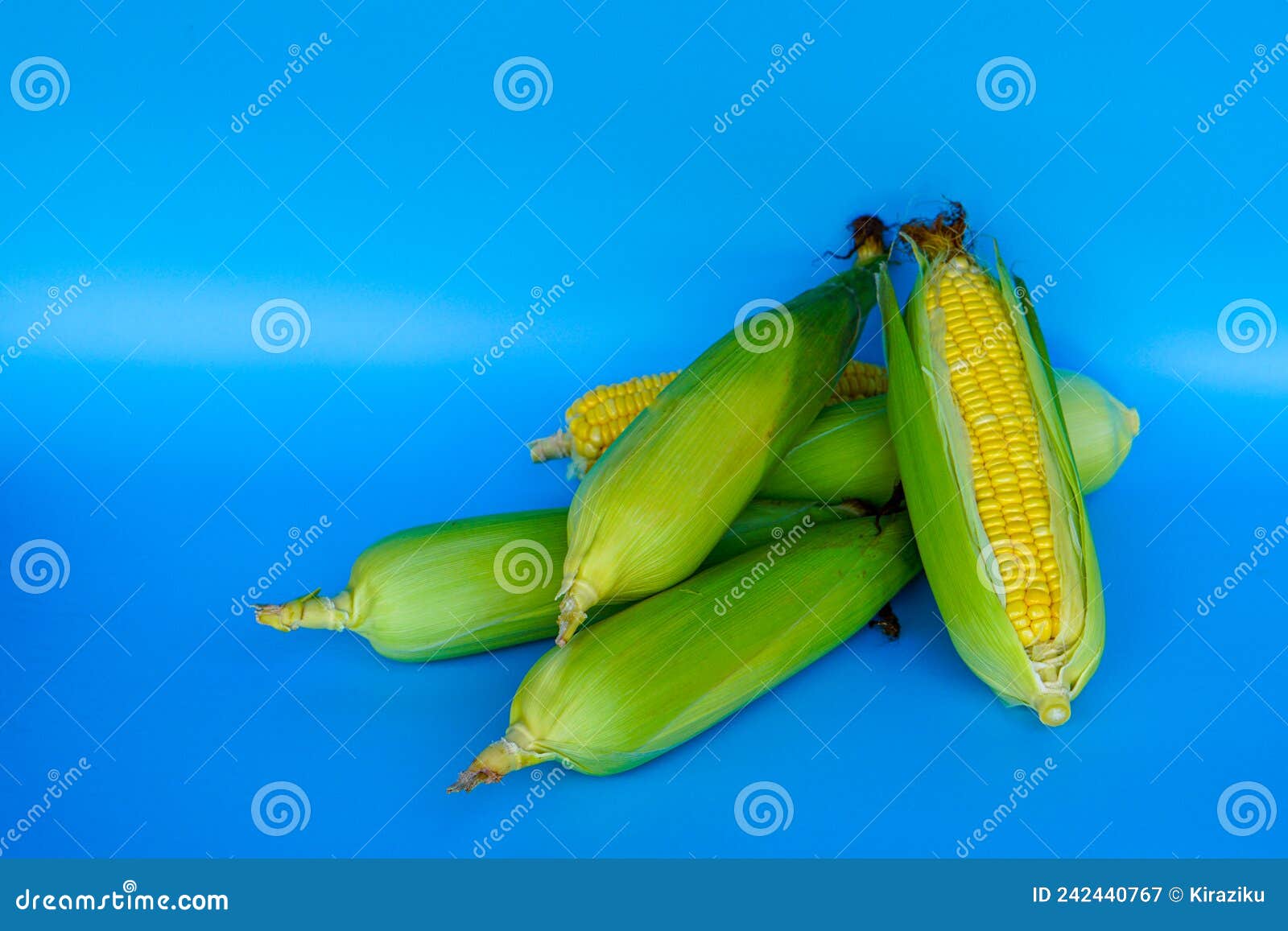Corns Isolated on a Blue Background Stock Image - Image of crop, health ...