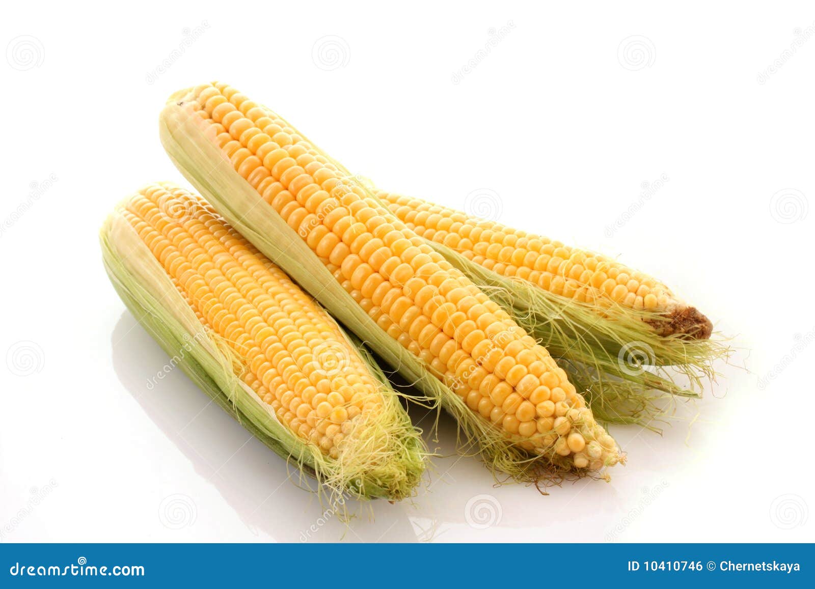 Corns isolated on white stock photo. Image of closeup - 10410746