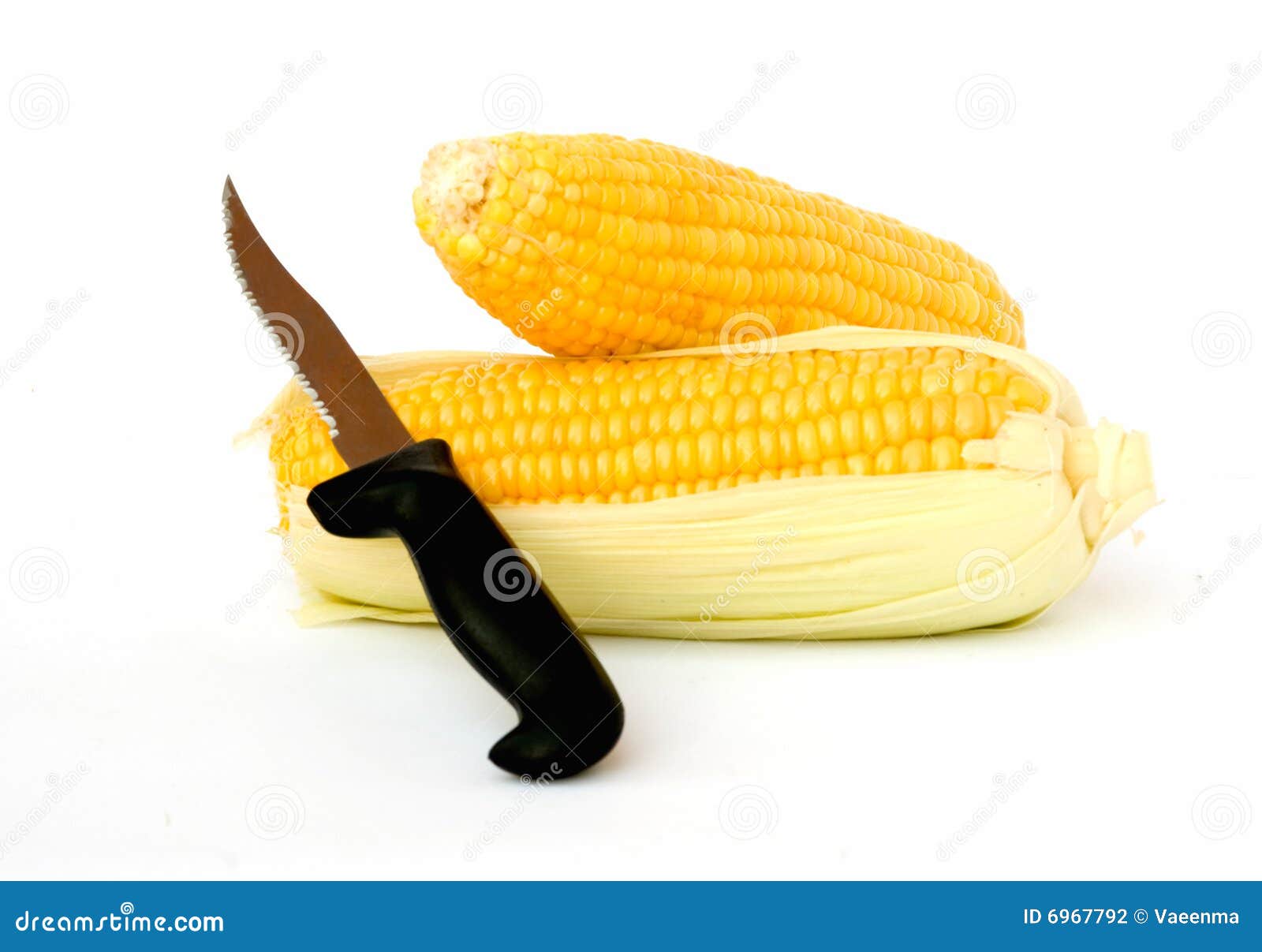 Corns with knife stock photo. Image of grain, indian, preparation - 6967792