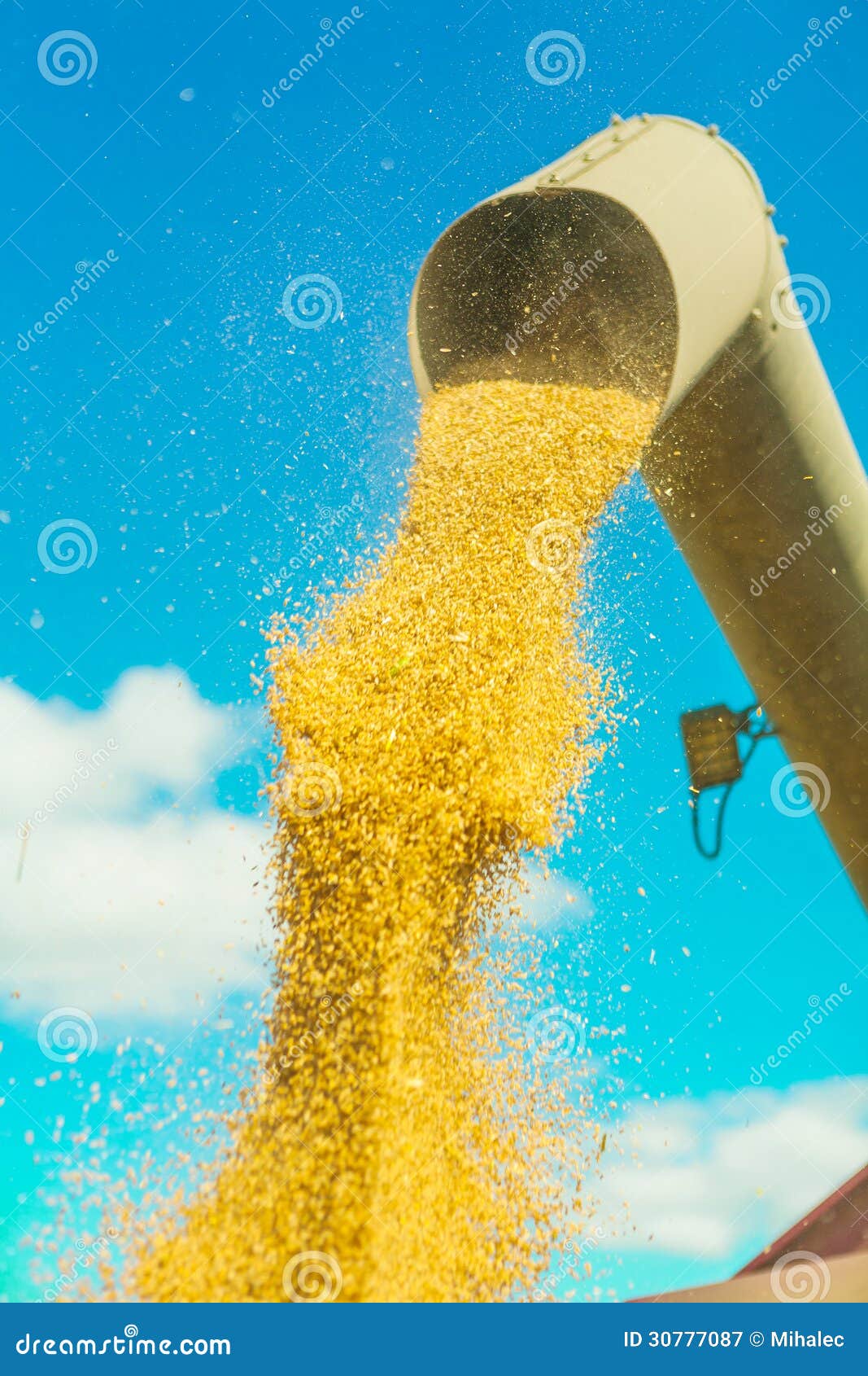 Corns of Wheat Pouring from Pipe Stock Image - Image of machinery ...