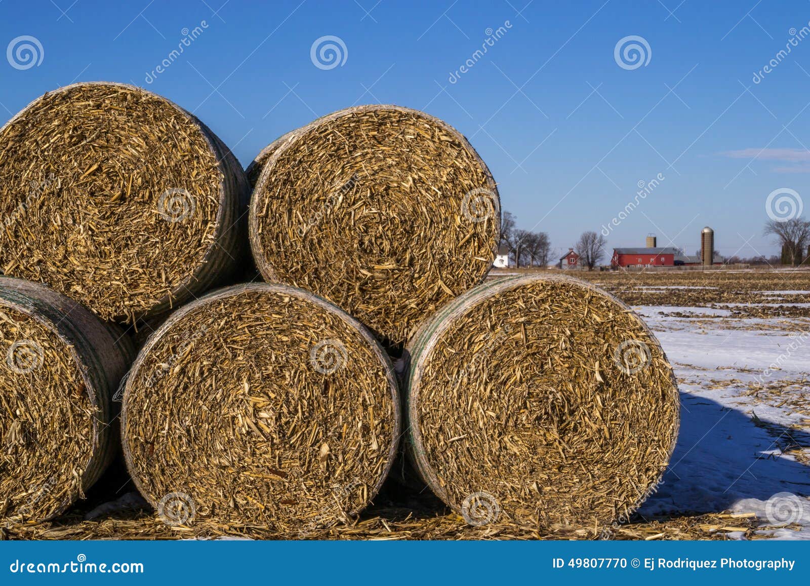 Cornstock bales. stock photo. Image of light, corn, midwest - 49807770