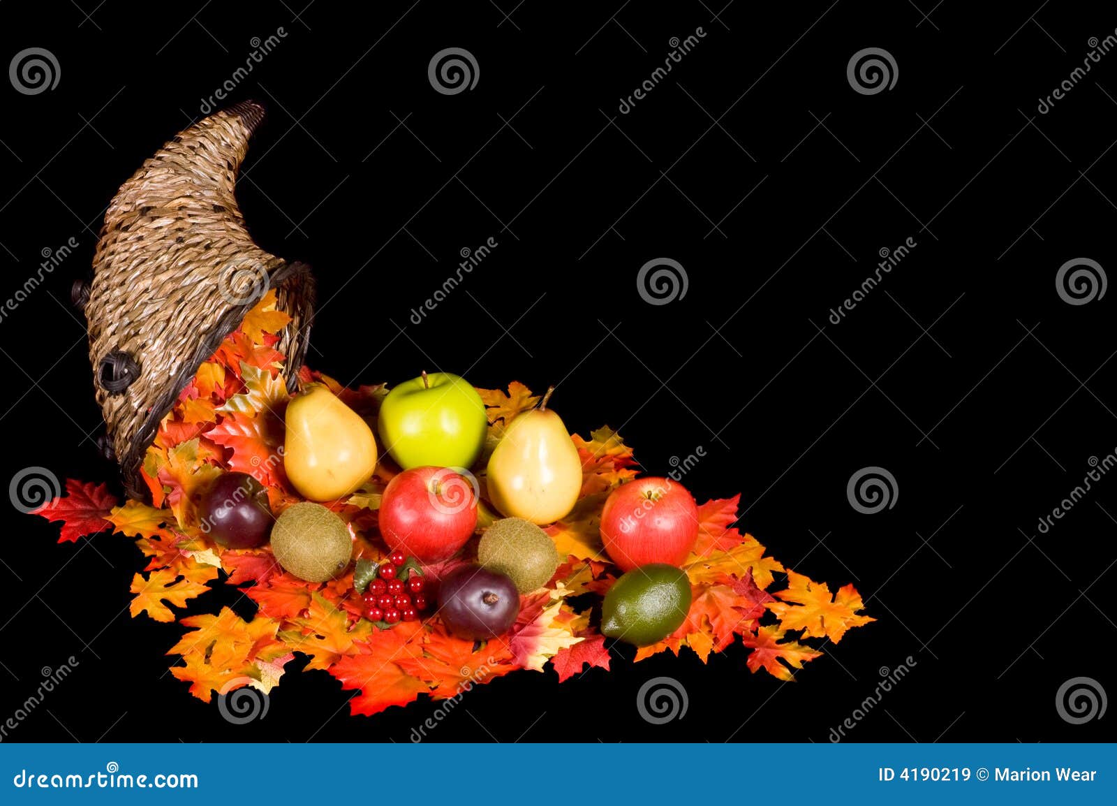 Cornucopia 1 stock image. Image of fall, fruit, thanksgiving - 4190219