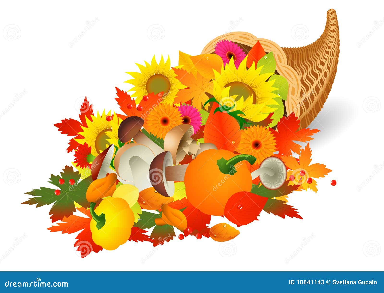 Cornucopia stock vector. Illustration of agriculture - 10841143