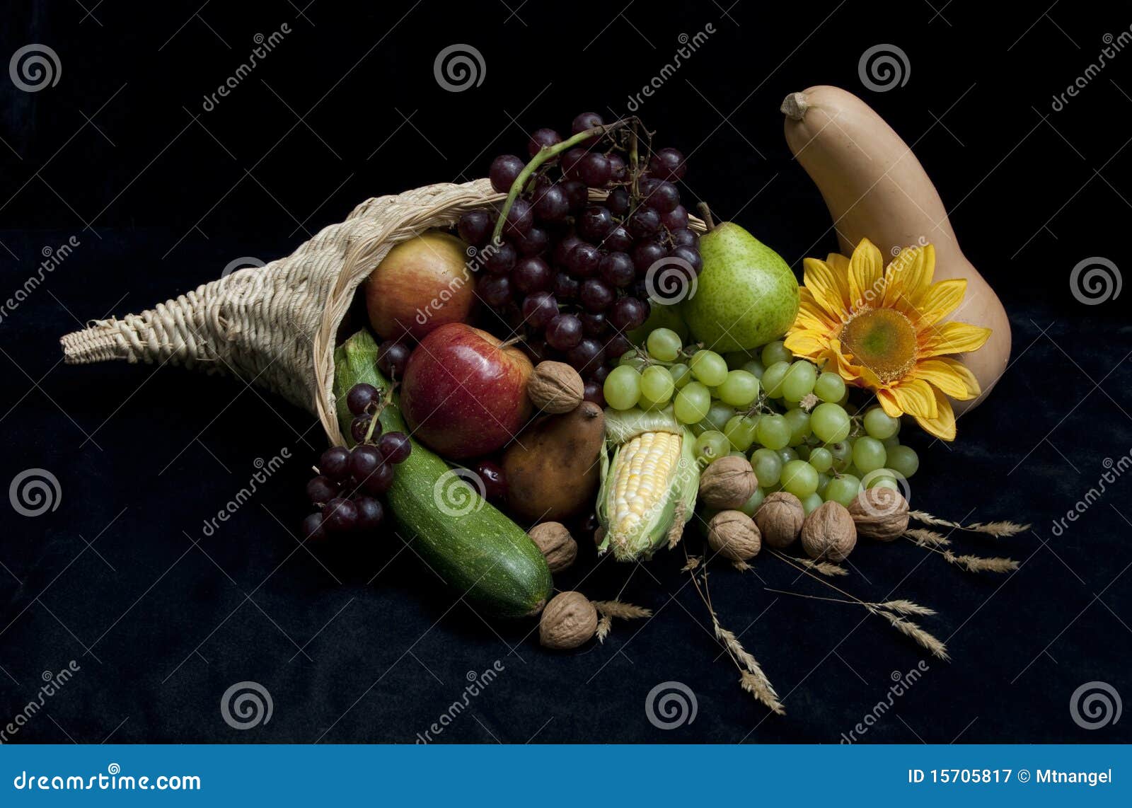 Cornucopia stock image. Image of grapes, crop, healthy - 15705817