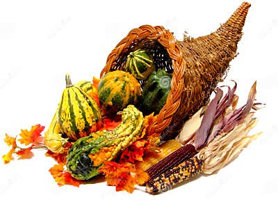 Cornucopia stock image. Image of isolated, berries, gourd - 16432179