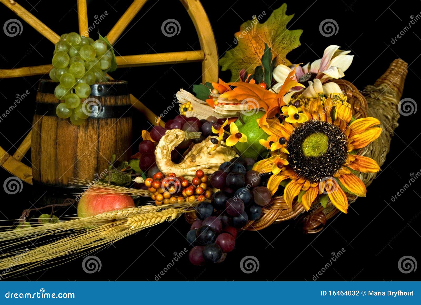 Cornucopia stock photo. Image of green, grape, apple - 16464032