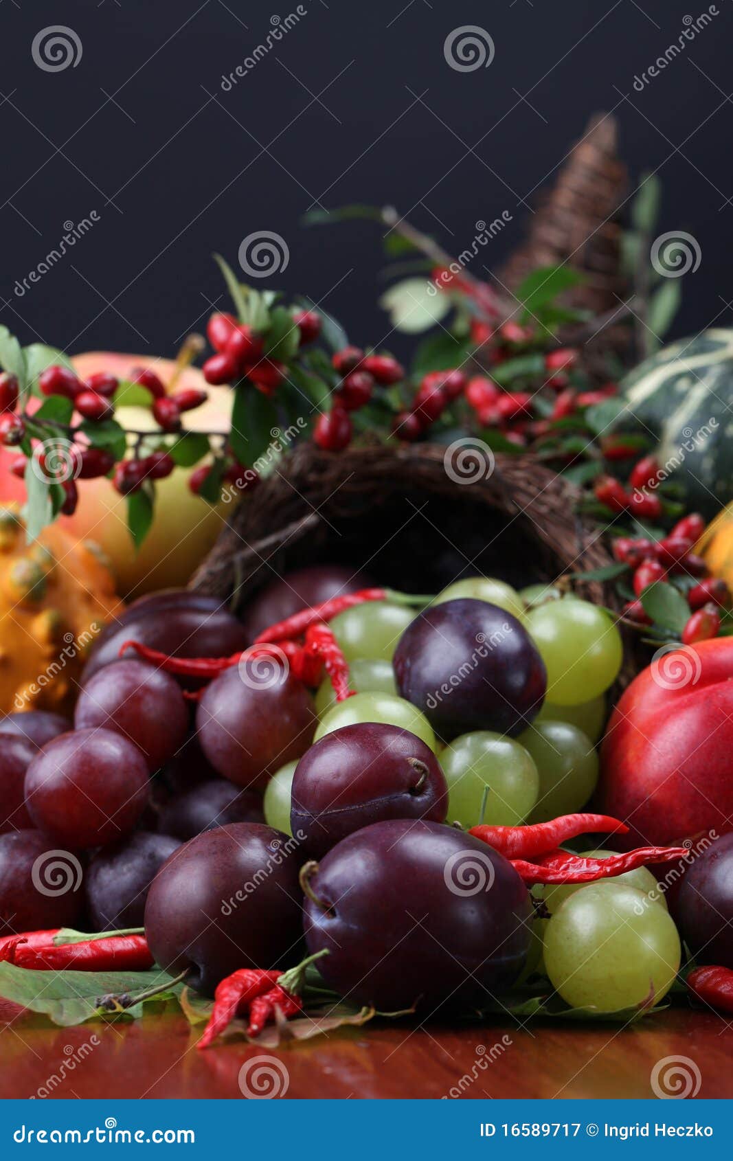 Cornucopia stock image. Image of abundance, holiday, cornucopia - 16589717