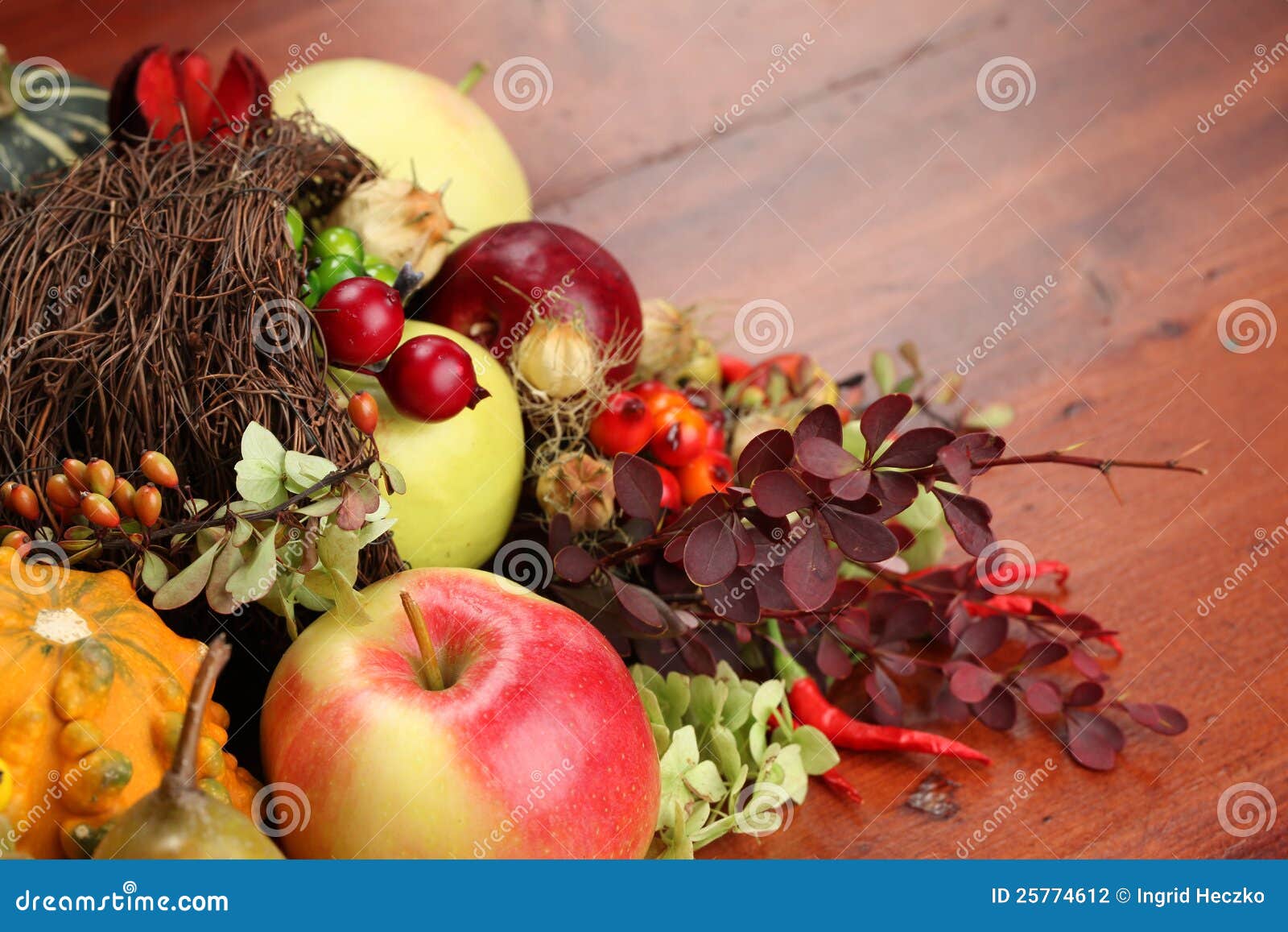 Cornucopia stock photo. Image of cornucopia, fruit, colorful - 25774612
