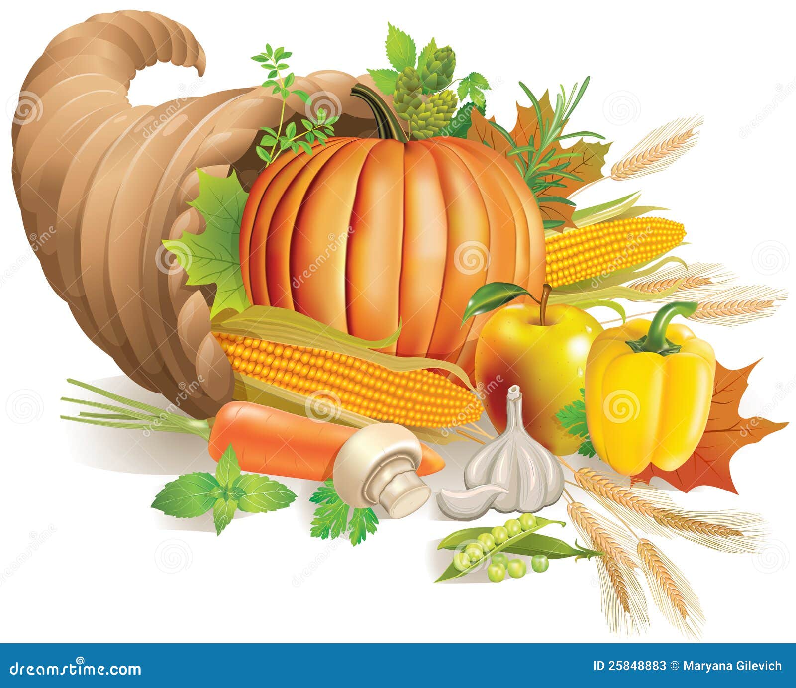 Cornucopia stock vector. Illustration of full, garlic - 25848883