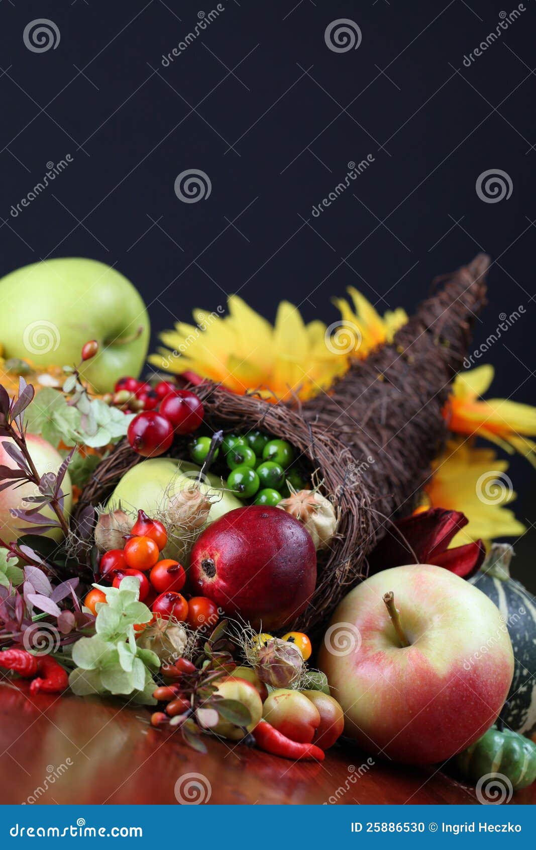 Cornucopia stock photo. Image of cornucopia, decoration - 25886530